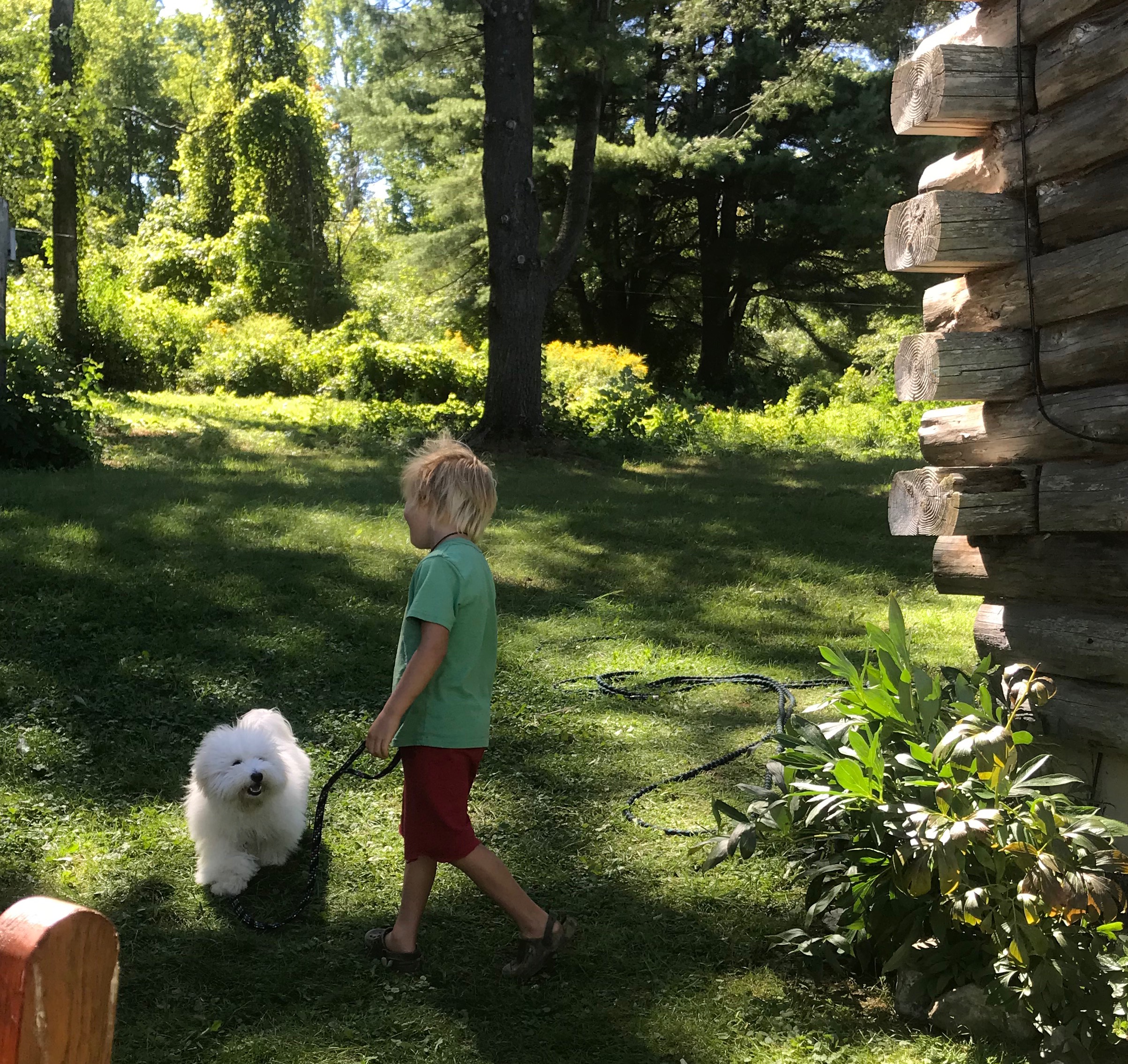 Rufus Shaggy Puffer Doggo - Orvis Cover Dog